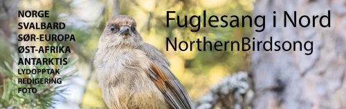 Fuglesang i Nord – Northern Birdsong